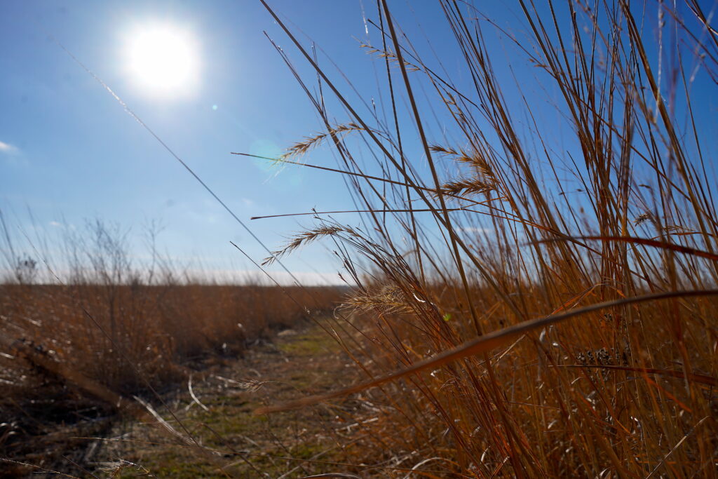 ‘It was just a perfect day’ | News, Sports, Jobs - North Tama Telegraph
